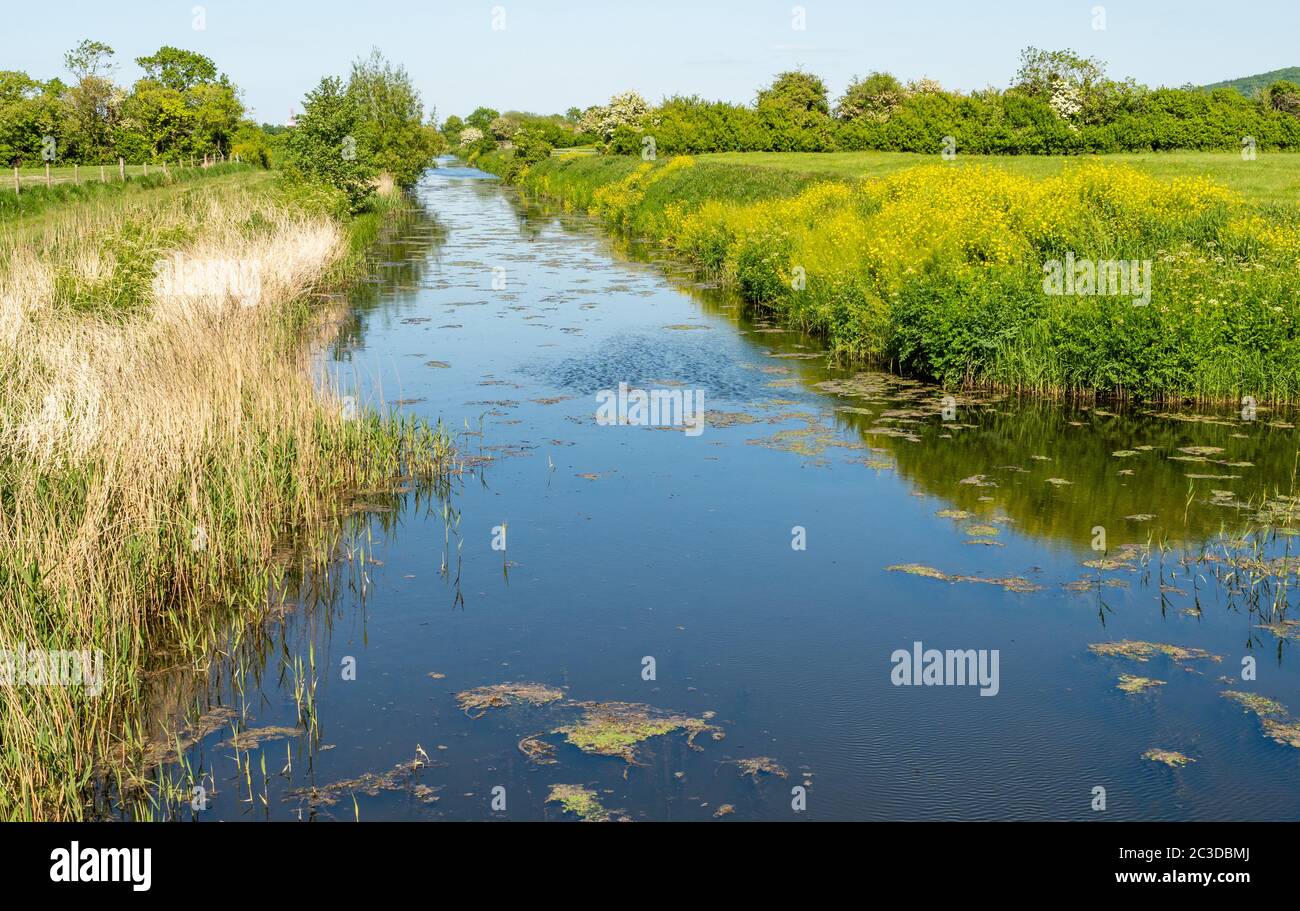 Drainage dyke on Clapton Moor in Gordano near Portishead Somerset UK ...