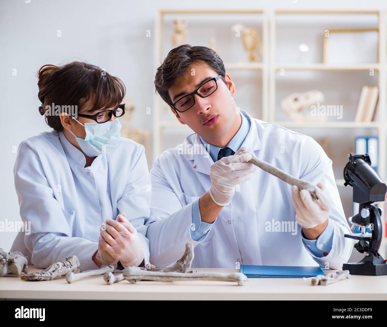 Professor studying human skeleton in lab Stock Photo - Alamy