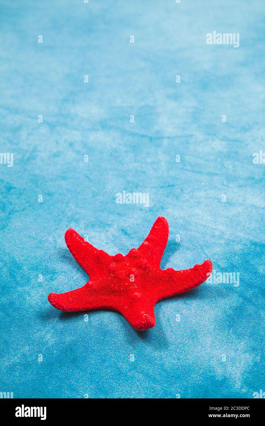 Red star fish tropical shells on hi-res stock photography and images ...