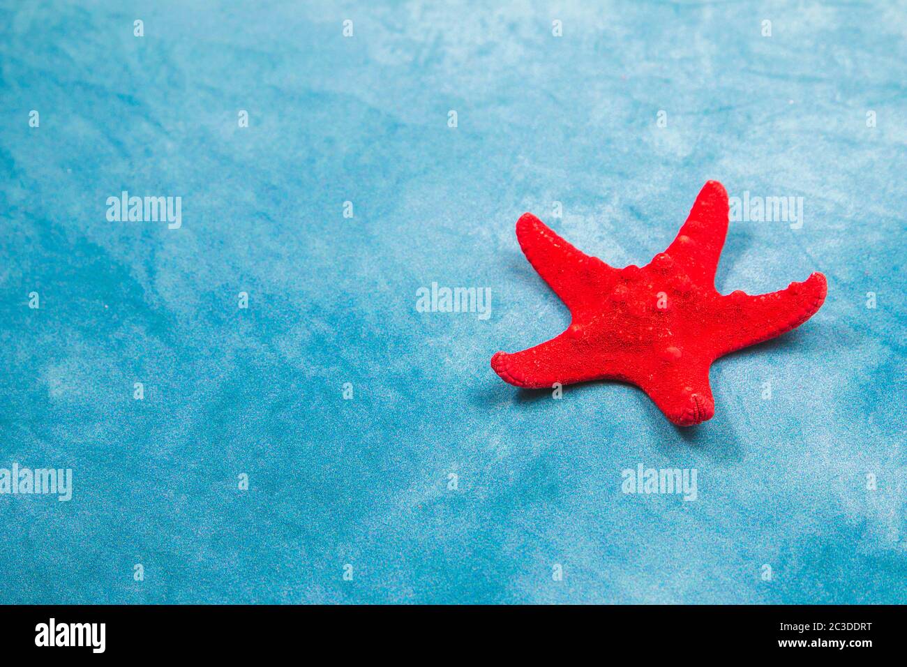 Red star fish tropical shells on hi-res stock photography and images ...