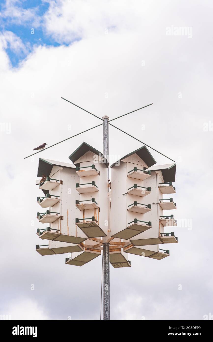 Purple martin birdhouse hi-res stock photography and images - Alamy