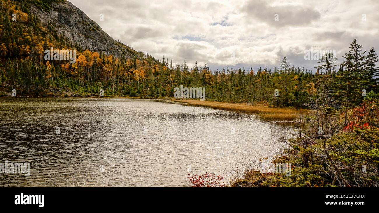 Corner Brook tree landscape during autmn in Newfoundland, Canada Stock ...