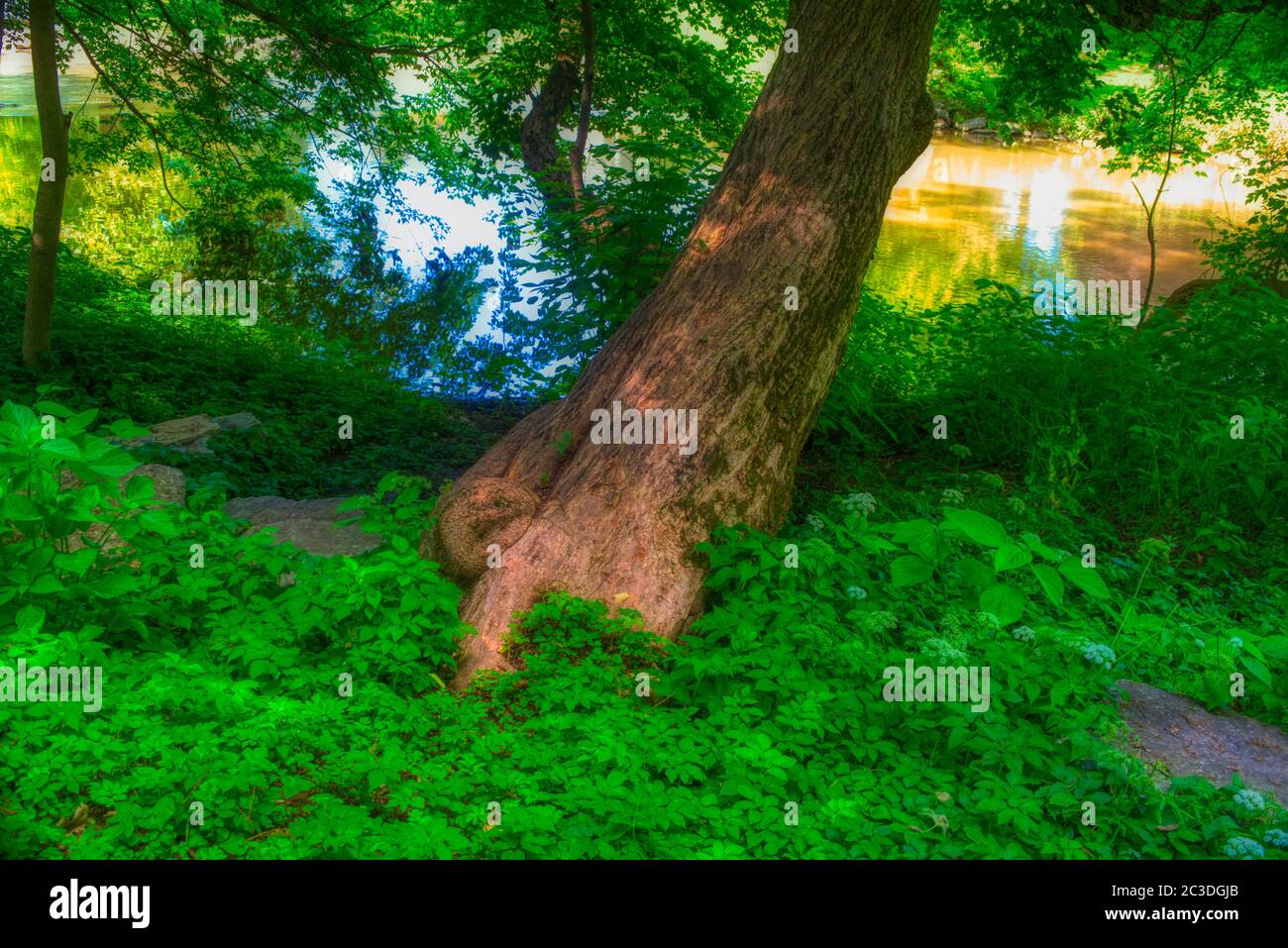 Idyllic stream walk Stock Photo - Alamy