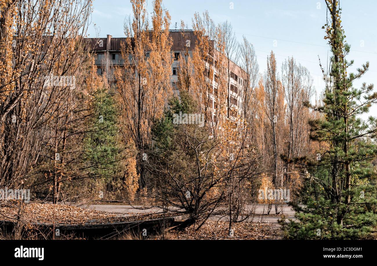 houses on the street of the abandoned city of Chernobyl Stock Photo - Alamy