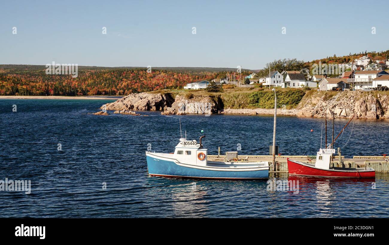 Brook in the forest cape breton highlands national park hi-res stock ...