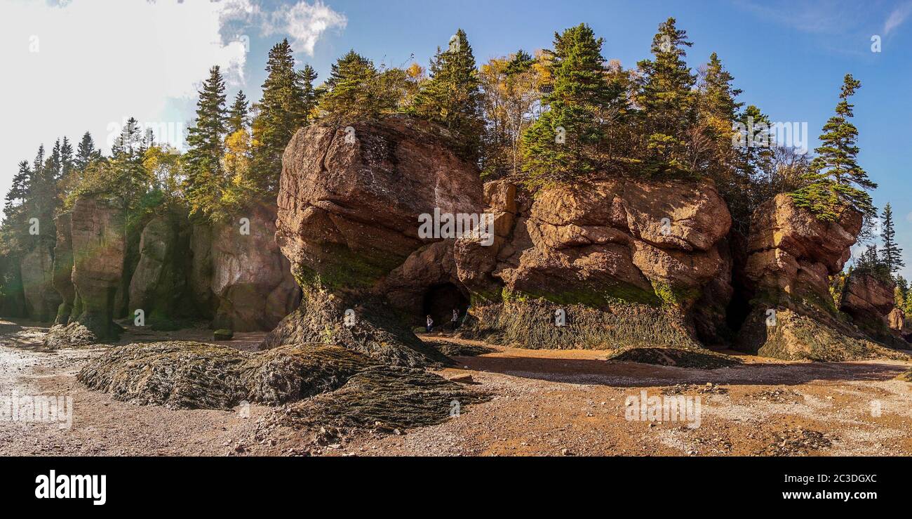 Bay of Fundy during low tide in Nova Scotia, Canada Stock Photo - Alamy