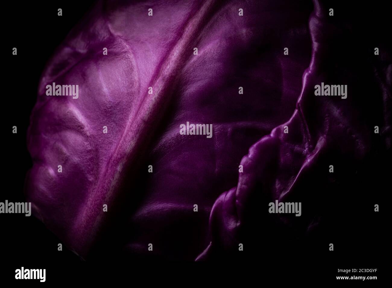 Coleslaw on black background hi-res stock photography and images - Alamy
