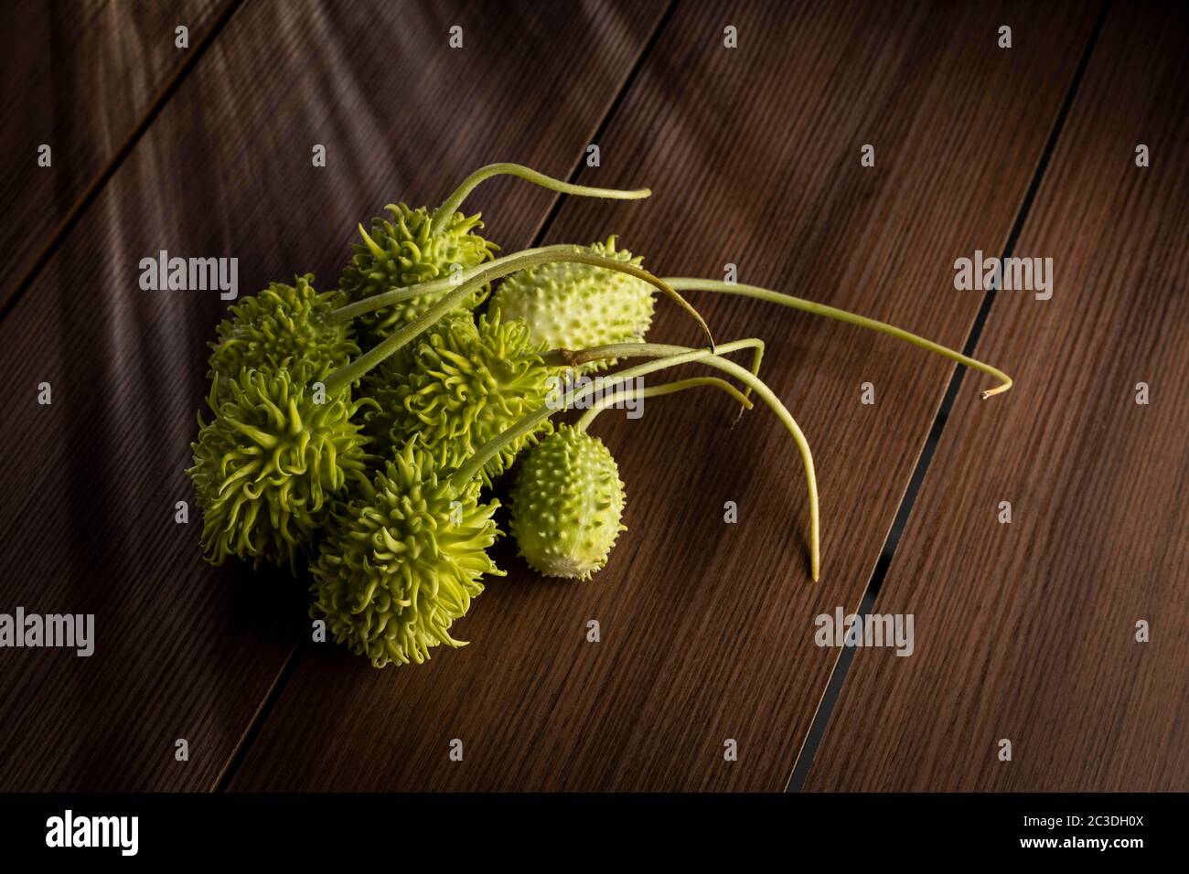 Maxixe hi-res stock photography and images - Alamy