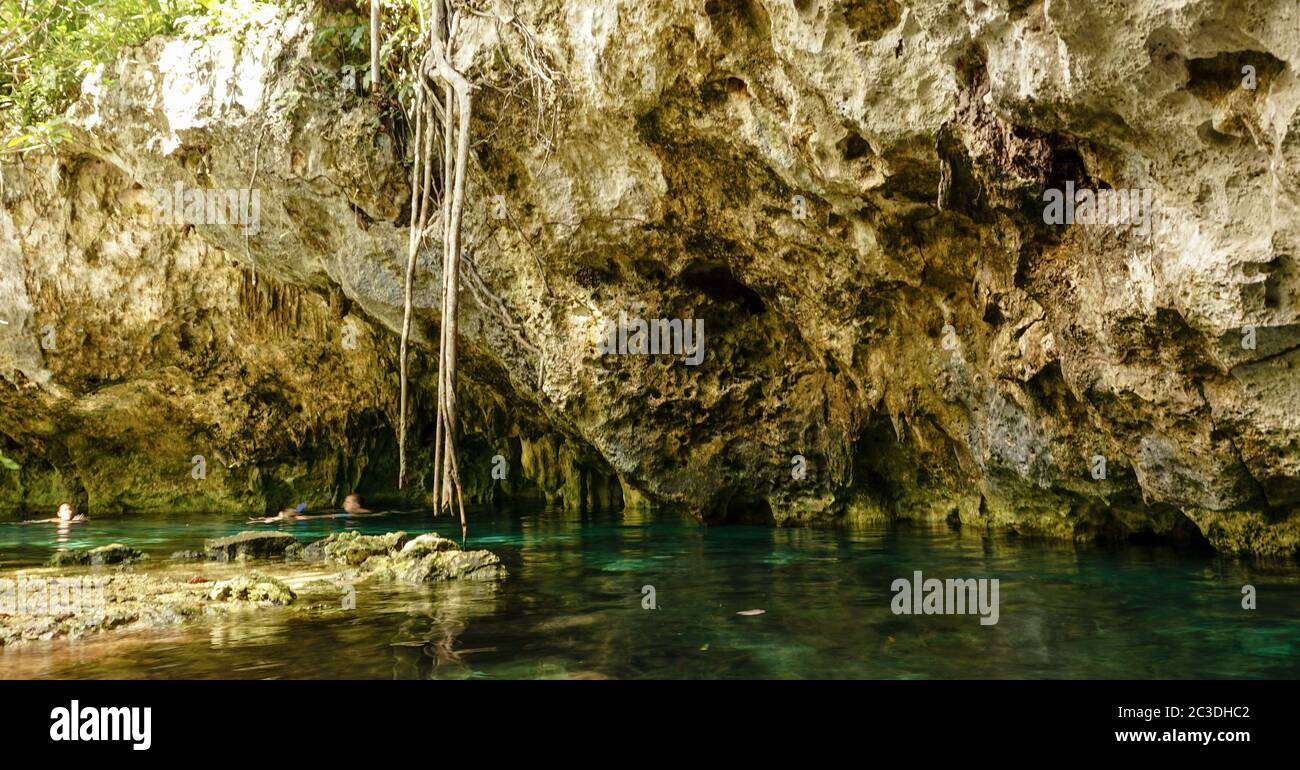 Gran Cenote near Tulum in the Yucatan, Mexico Stock Photo - Alamy