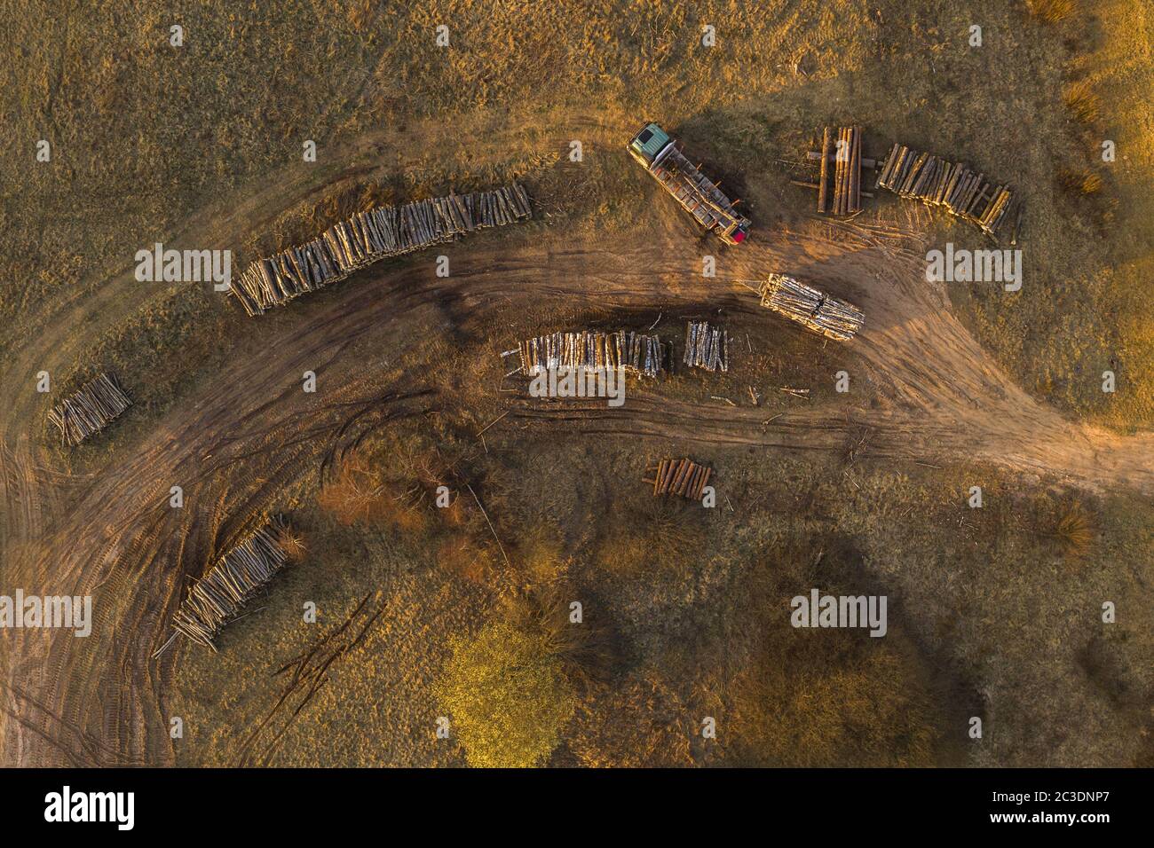 Forestry operation hi-res stock photography and images - Alamy