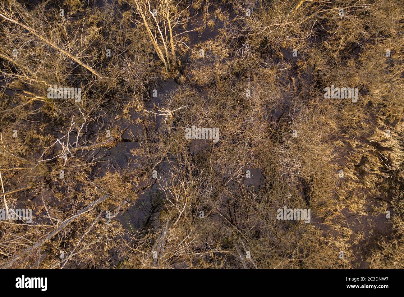 Aerial view swamp flooded fields hi-res stock photography and images ...
