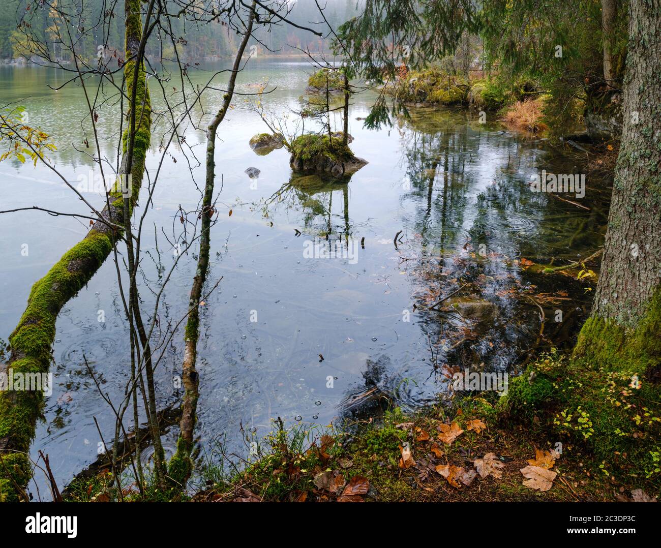 Mountain alpine autumn lake Hintersee, Berchtesgaden national park ...