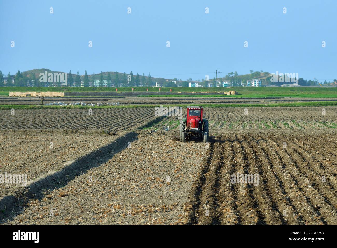 North Korea - May 4, 2019: Tractor is plowing agricultural fields. Half ...