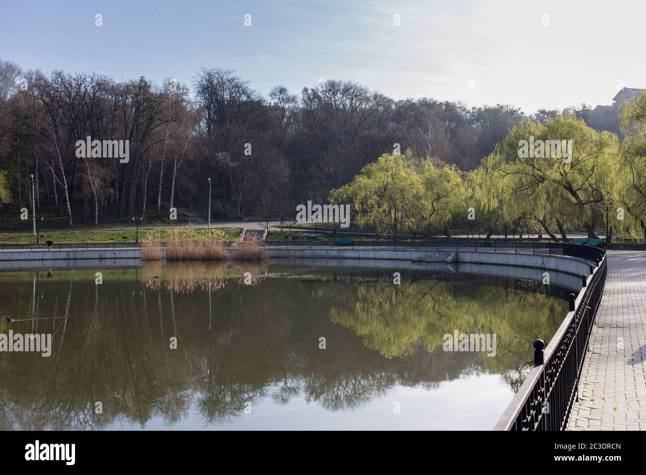 Reflective trees hi-res stock photography and images - Alamy