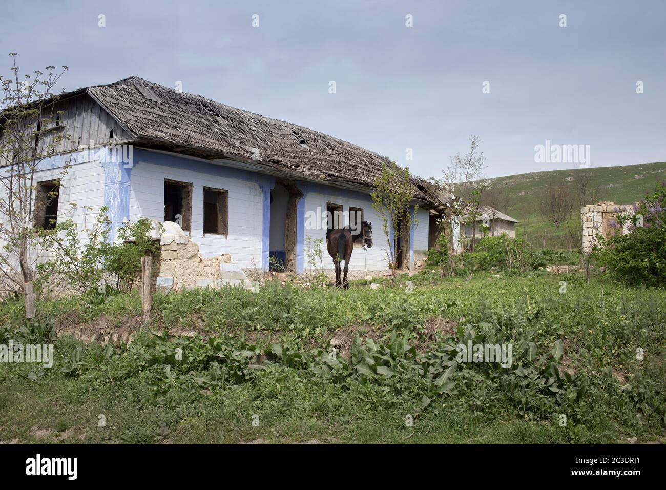 Beautiful rural landscape of the village house and field Stock Photo ...