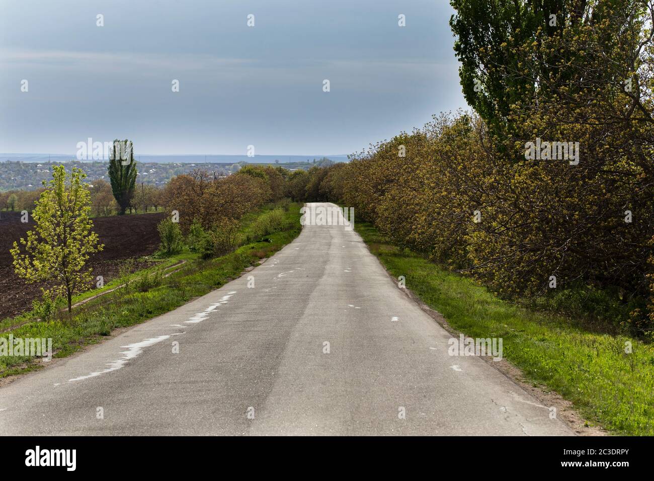 Beautiful landscape of the road and trees Stock Photo - Alamy