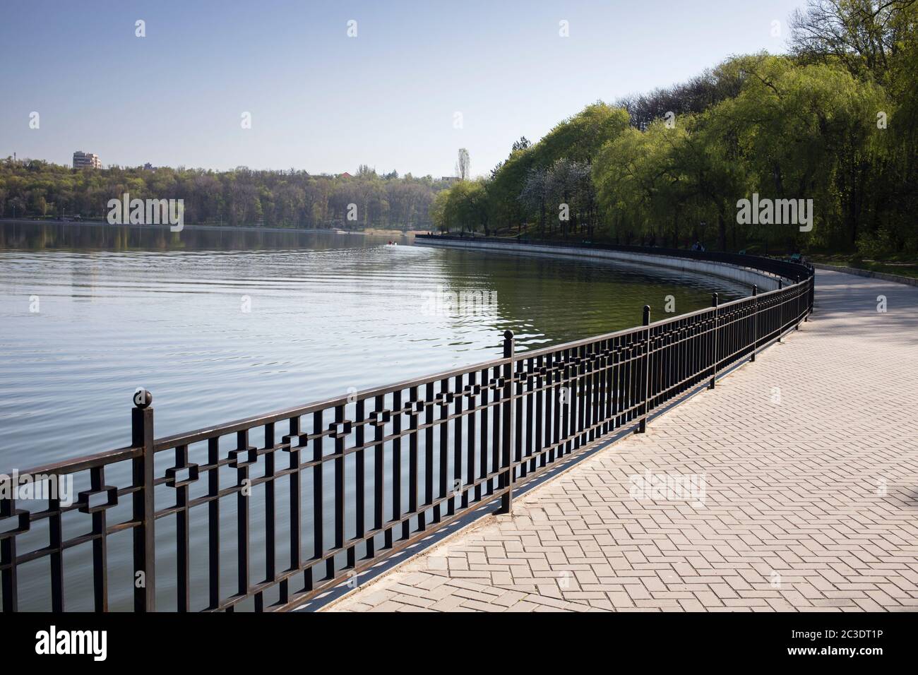 Reflective trees hi-res stock photography and images - Alamy