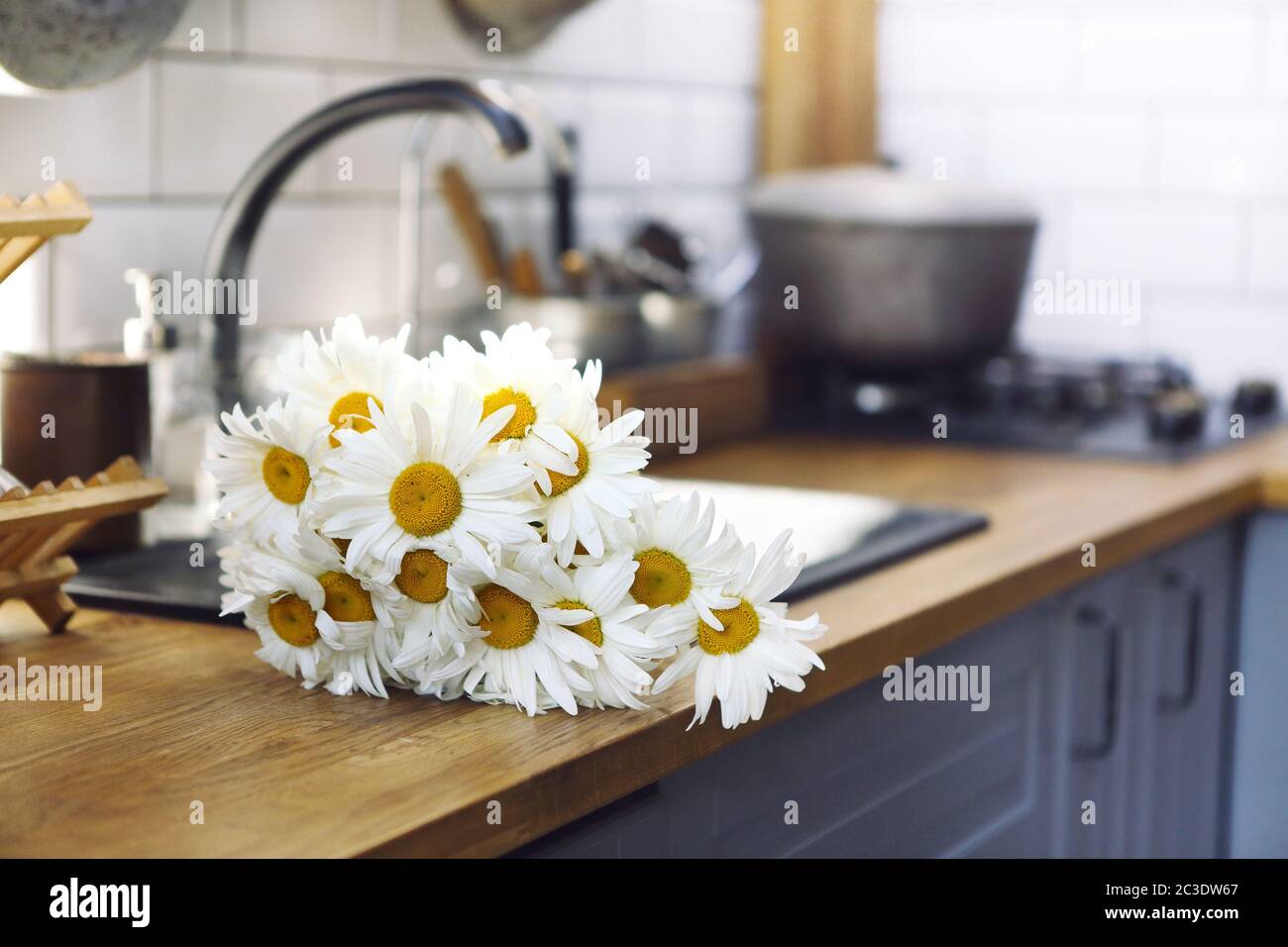 Kitchen counter garden hi-res stock photography and images - Alamy