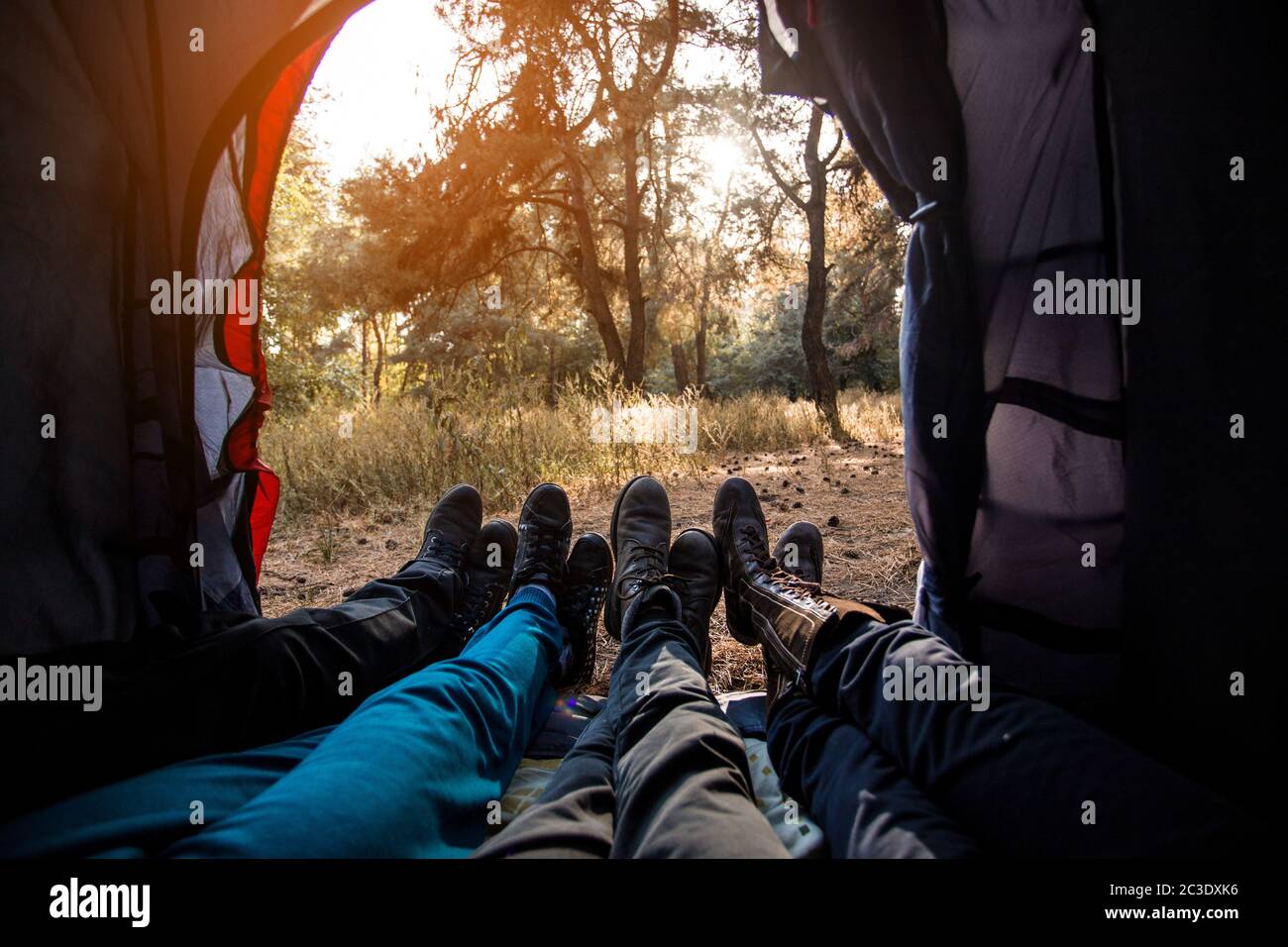 View from inside of group campers lying down in tent with autumn forest ...