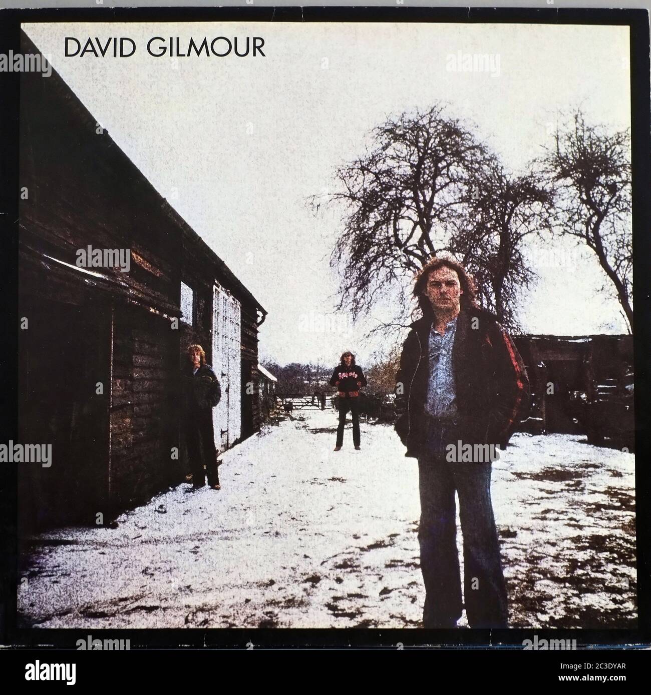 DAVID GILMOUR - Self-Titled - Vintage 12'' LP ALBUM vinyl Cover Stock ...