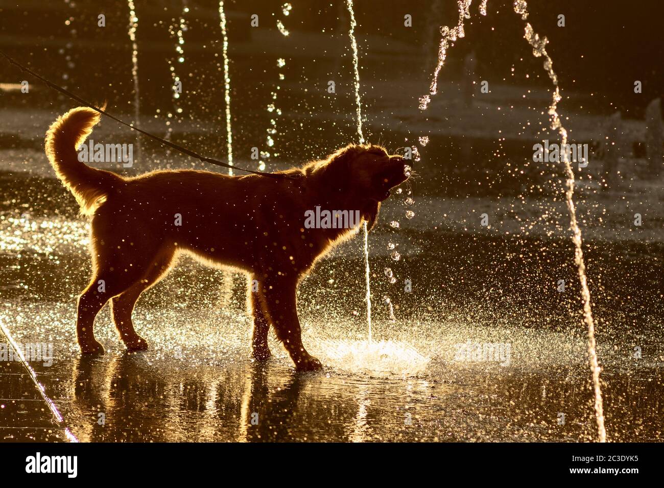 Fresh water for the hot summer Stock Photo - Alamy
