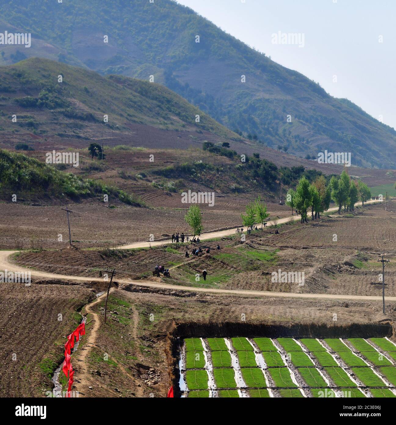 North Korea landscape. Mountains, country road and rice field in ...