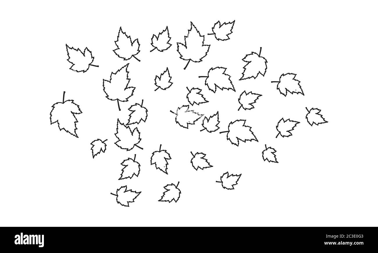 falling leaf maple design vector on white background Stock Vector Image ...