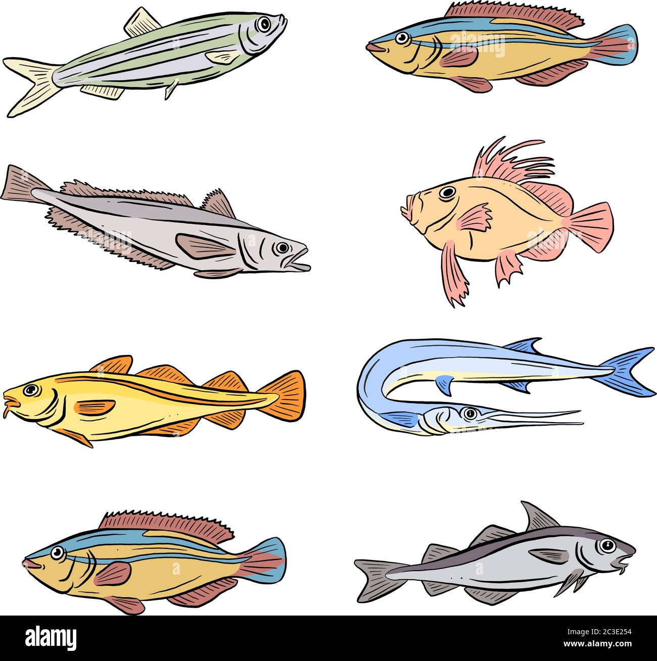 Freshwater Fish Clip Art Cartoon Freshwater Fish Illustration PNG