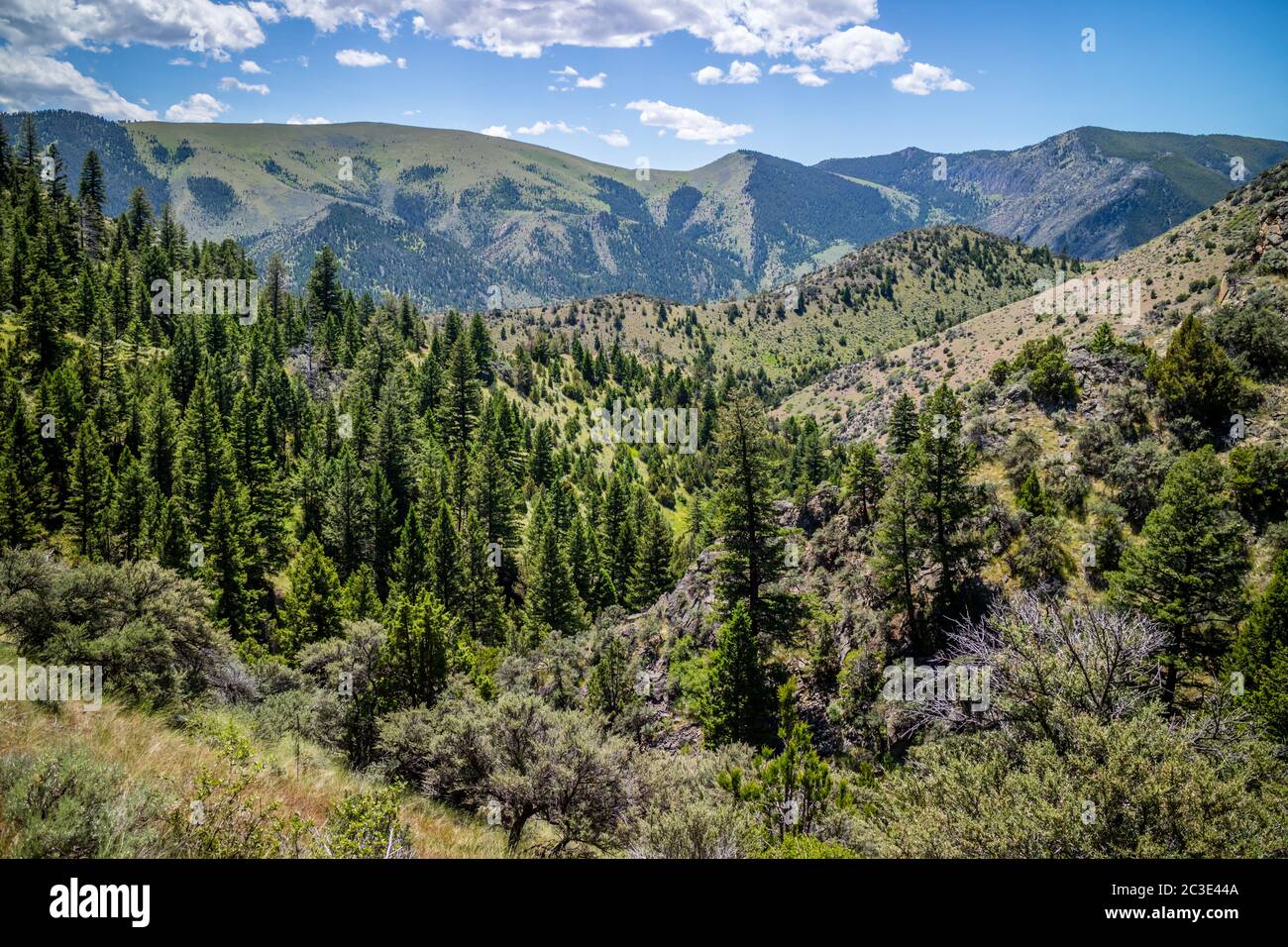 A beautiful overlooking view of nature in Lewis and Clark Caverns SP ...