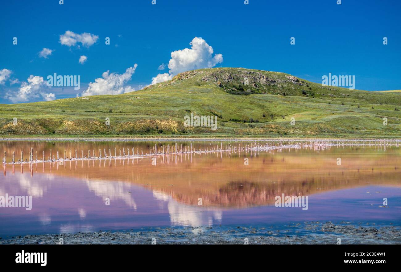 Brine and salt of a pink lake Chokrak colored by microalgae Dunaliella ...