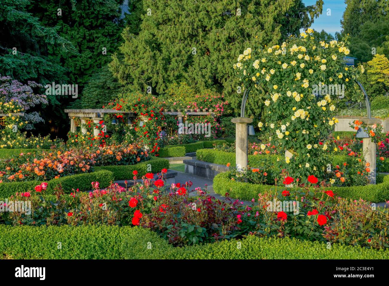 Ubc Vancouver Rose Garden High Resolution Stock Photography and Images ...