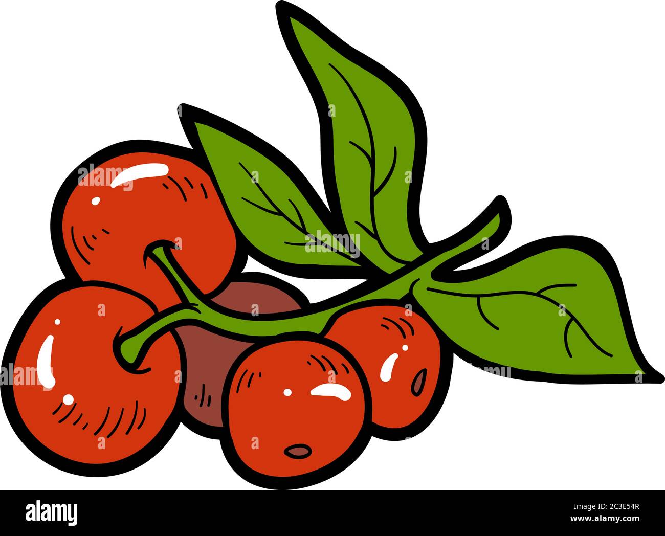 Image cranberries Stock Vector Images - Alamy
