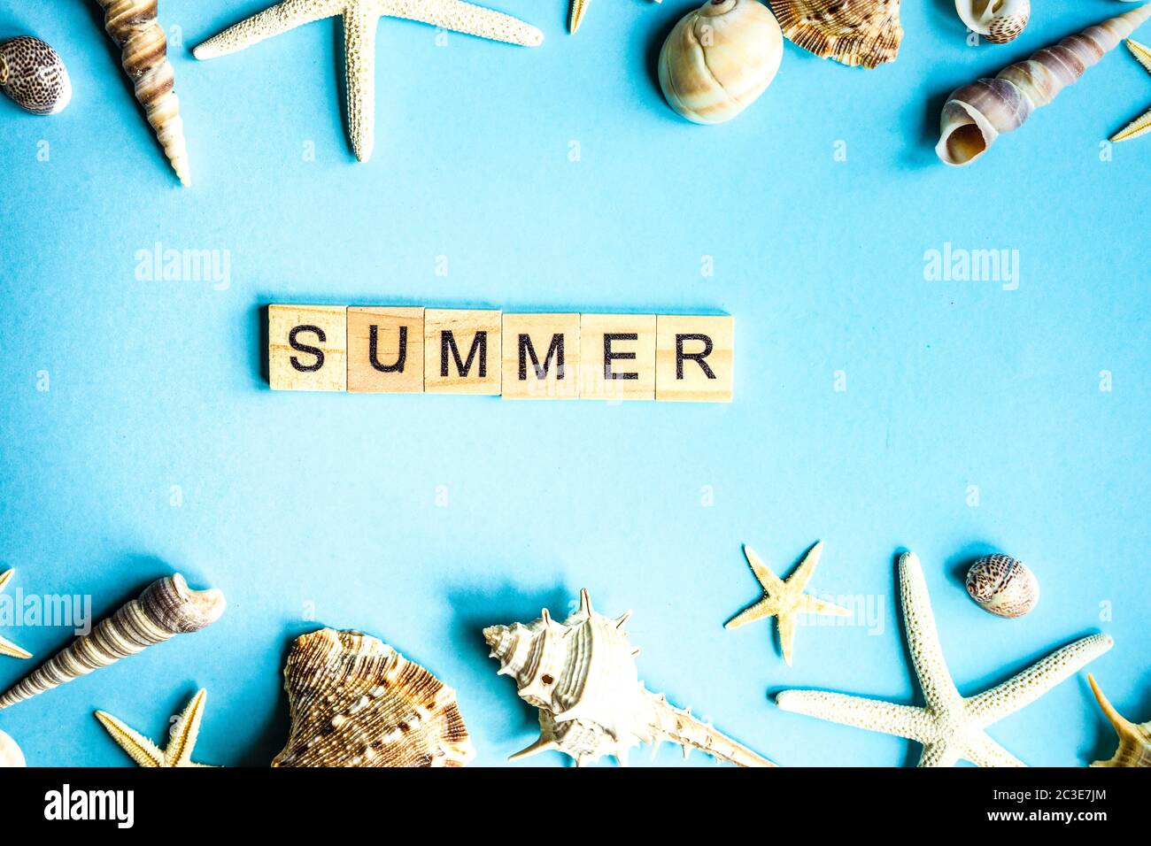 Summer frame with sea stars and shells on blue background with copy ...