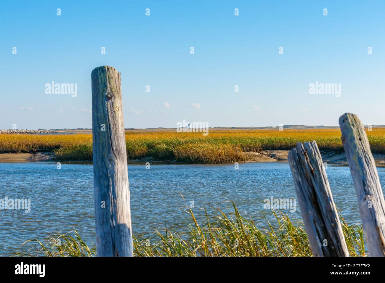 Salt Marsh and Long Point Lighthouse in distance on horizon near ...