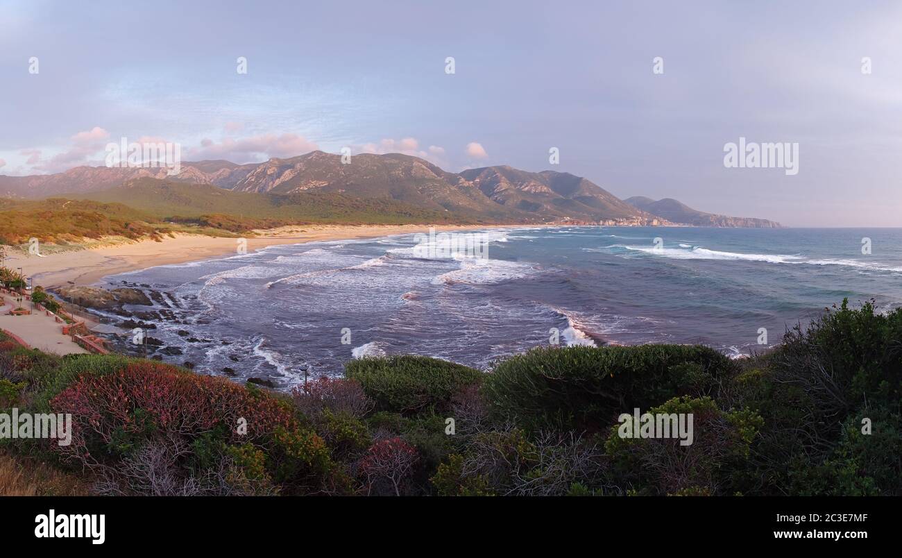 Spiaggia di pini hi-res stock photography and images - Alamy