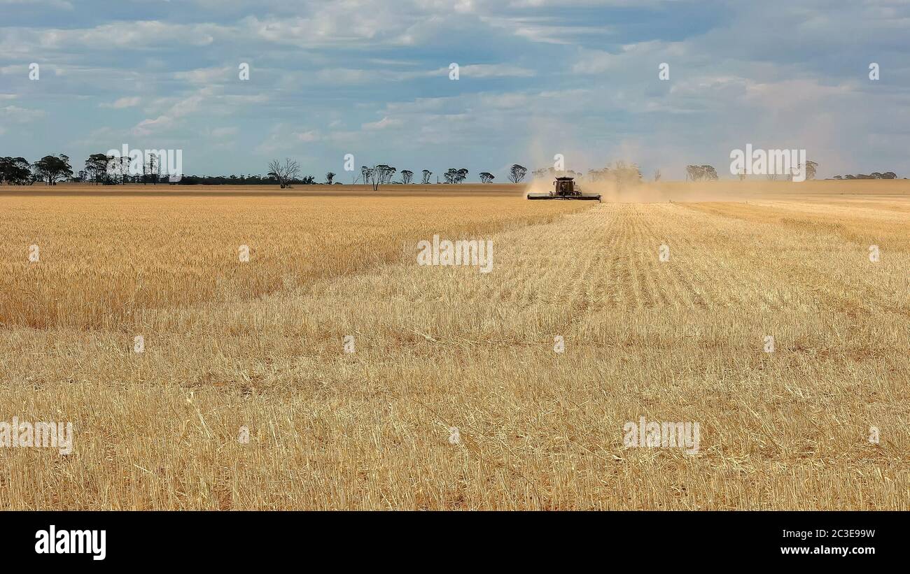 Farmer with tractor western australia hi-res stock photography and ...