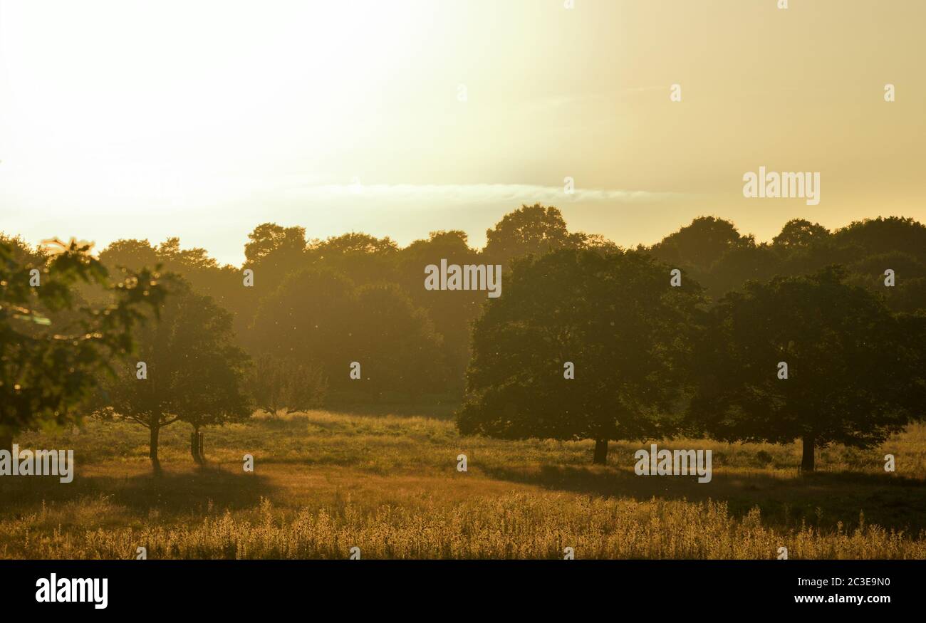 Beautiful Sunlit Landscape Stock Photo - Alamy