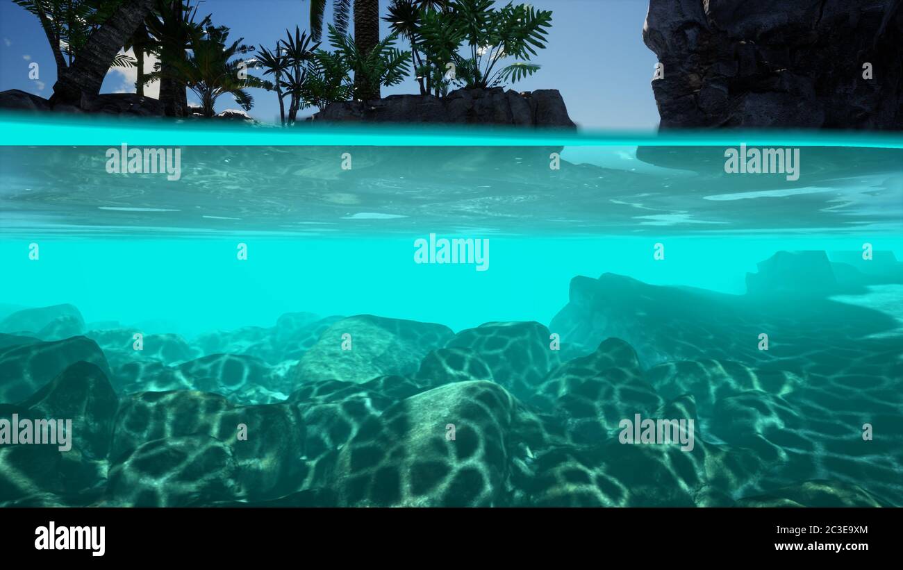 Split view cross section of sea water and palm trees on Island Stock ...