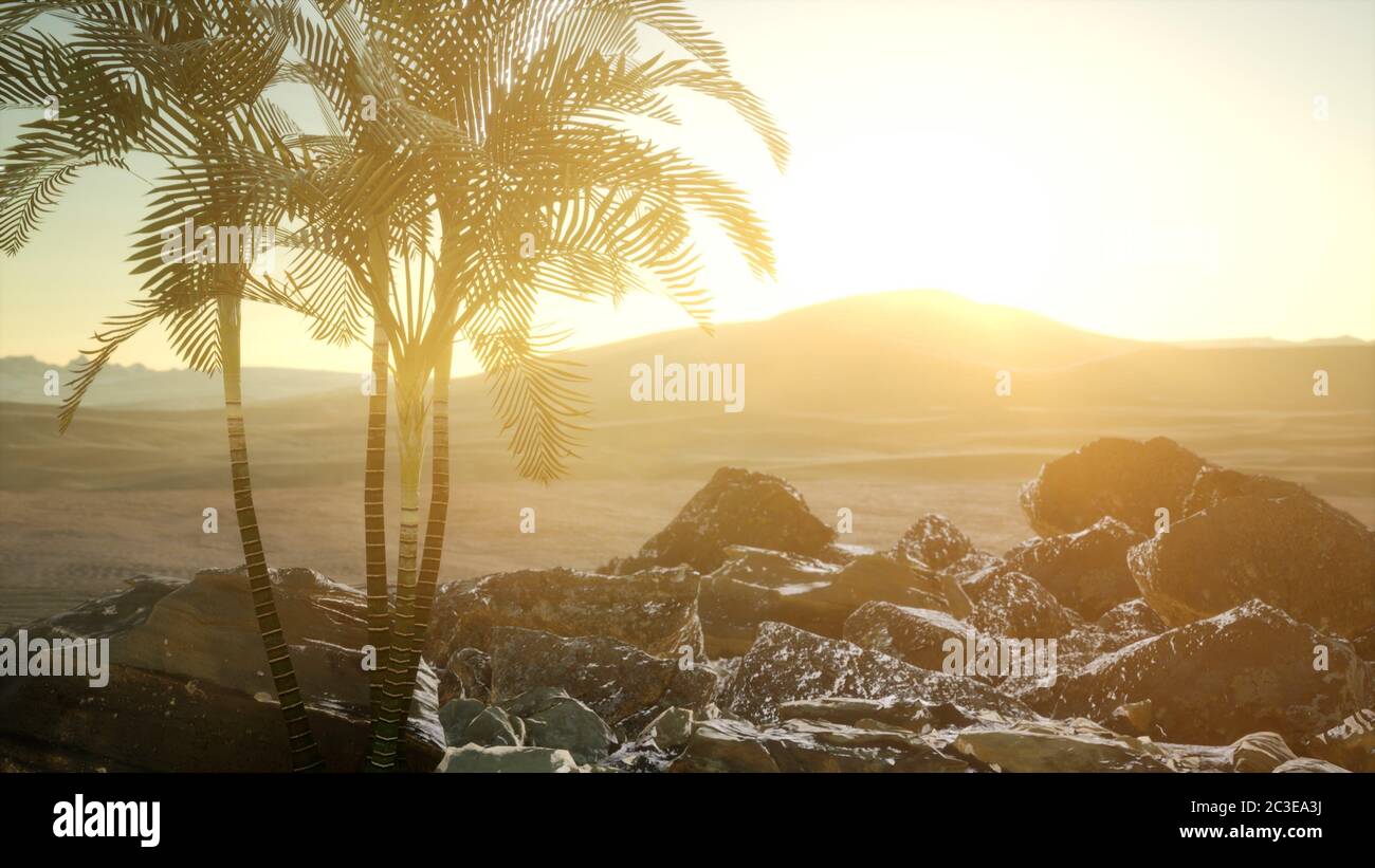 Dunes sunset in desert libya hi-res stock photography and images - Alamy