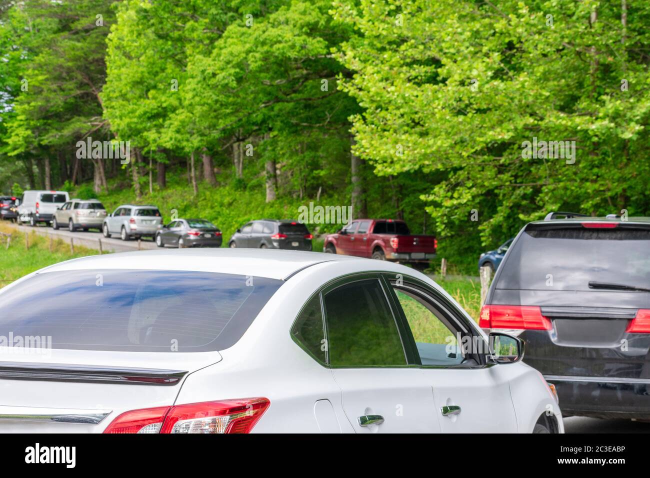 Lined with trees and mountains hi-res stock photography and images - Alamy