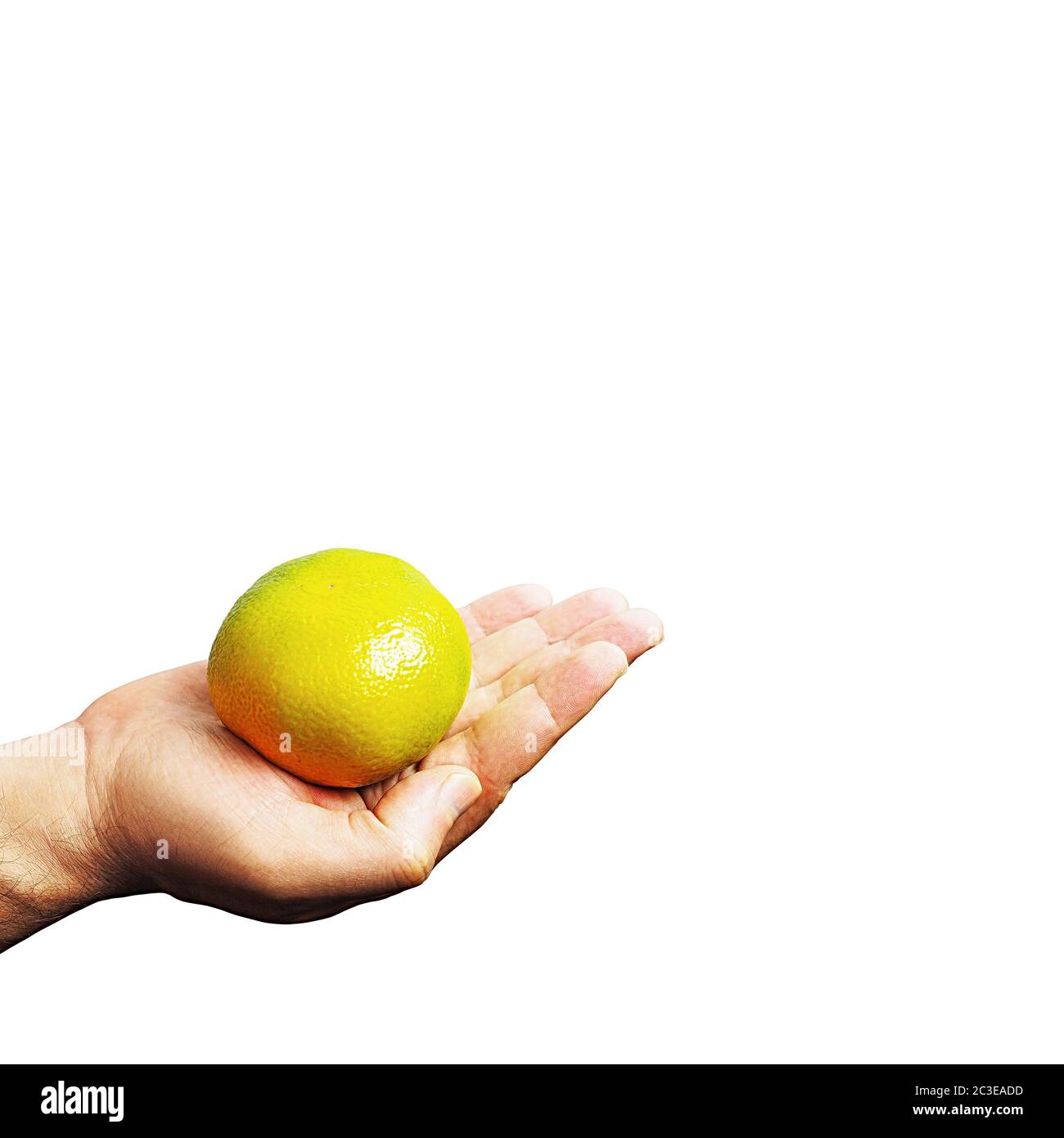 Bright yellow mandarin lies in the palm on an isolated background Stock ...