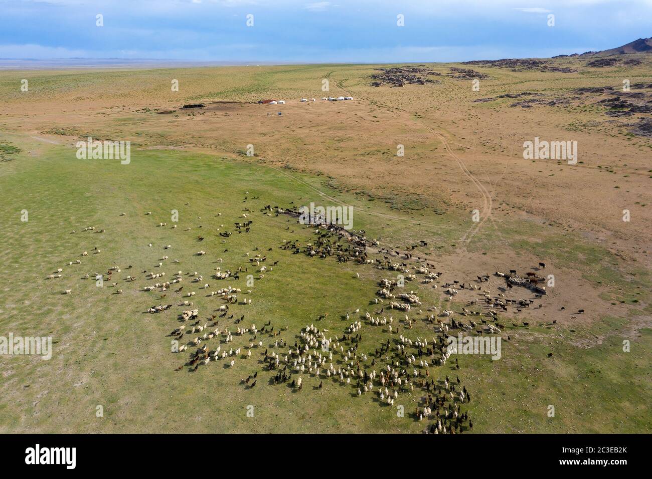 Grazing pastures hi-res stock photography and images - Alamy