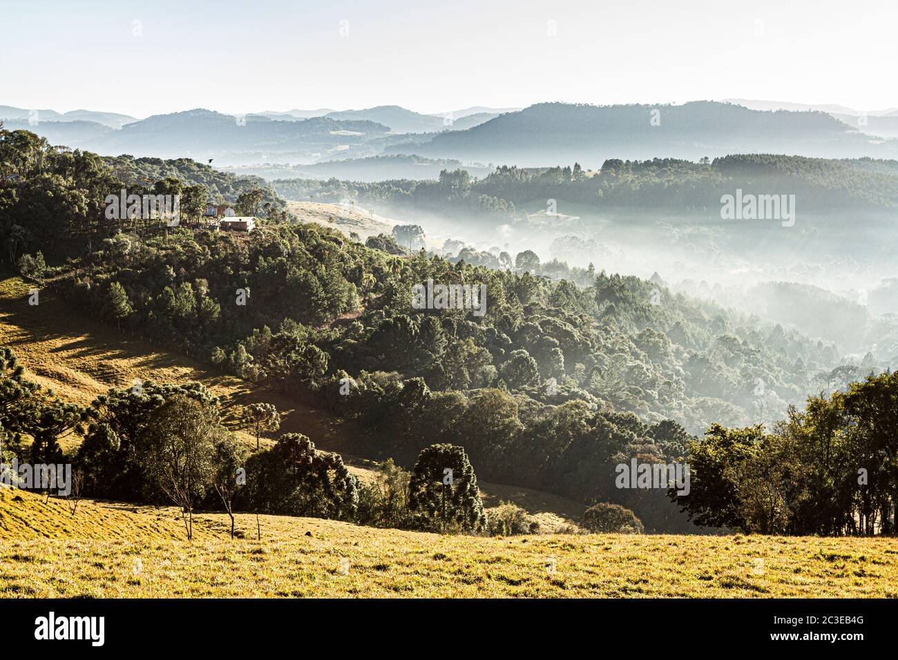 Rural landscape with fog in countryside of Santa Catarina state. Treze ...