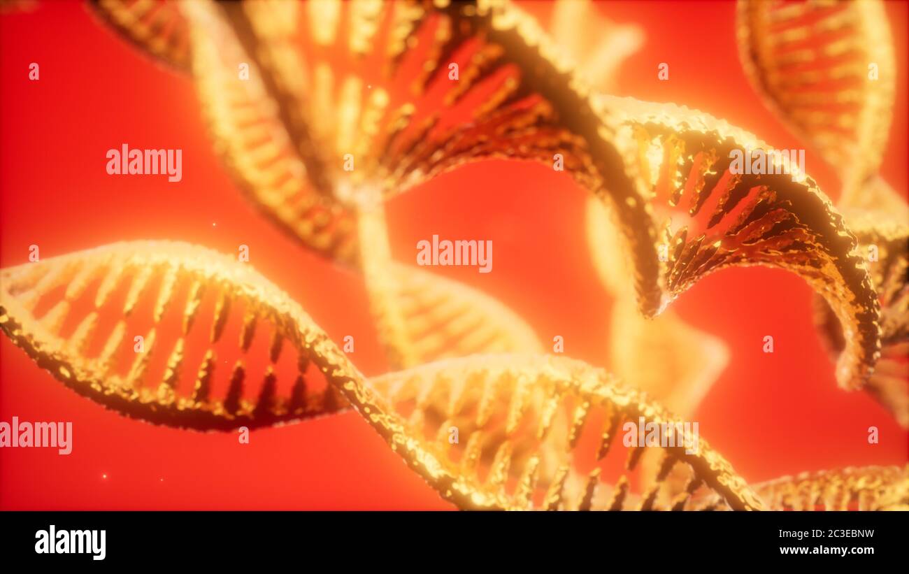 structure of the DNA double helix animation Stock Photo - Alamy