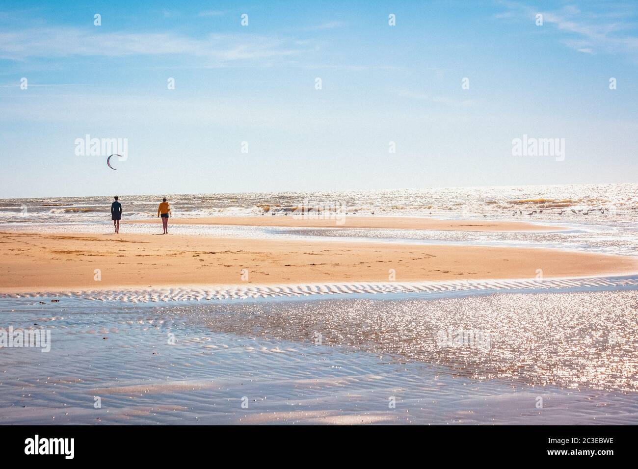 Animal tracks on a beach hi-res stock photography and images - Alamy