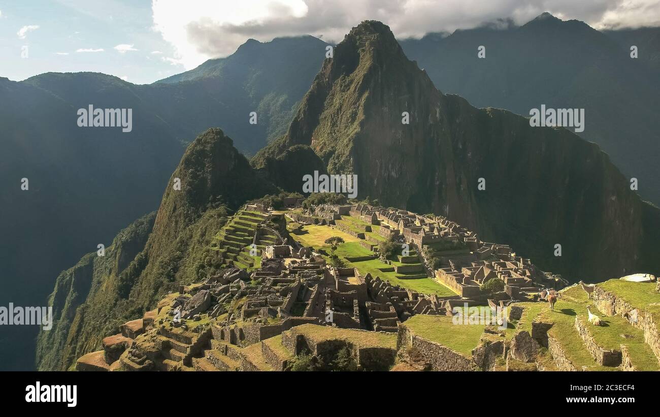 Machu picchu llamas hi-res stock photography and images - Alamy
