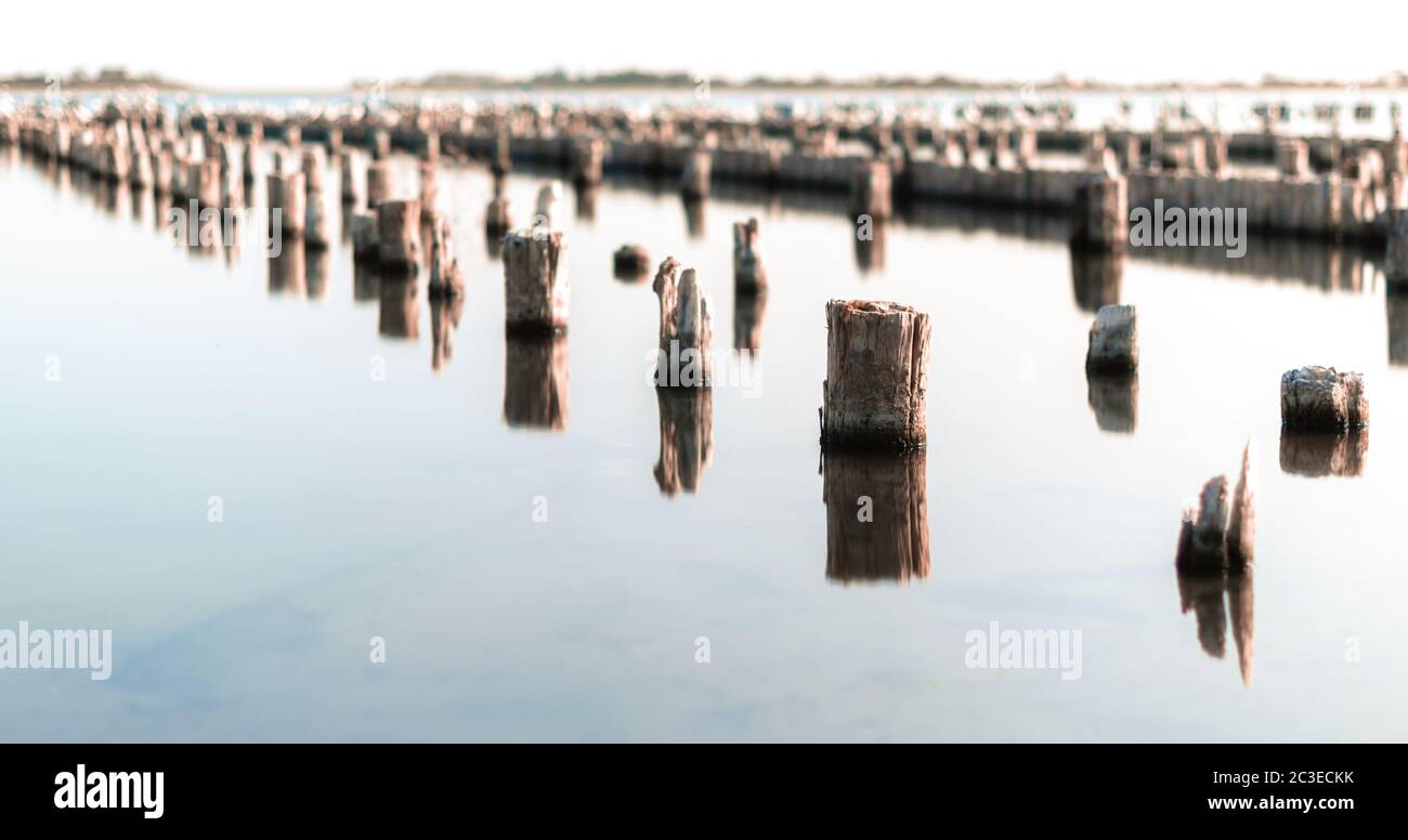 wooden columns in a calm surface of the water Stock Photo - Alamy