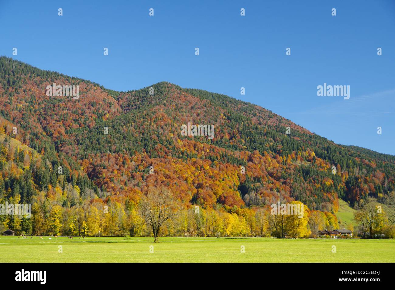 Blue sky and colors hi-res stock photography and images - Alamy