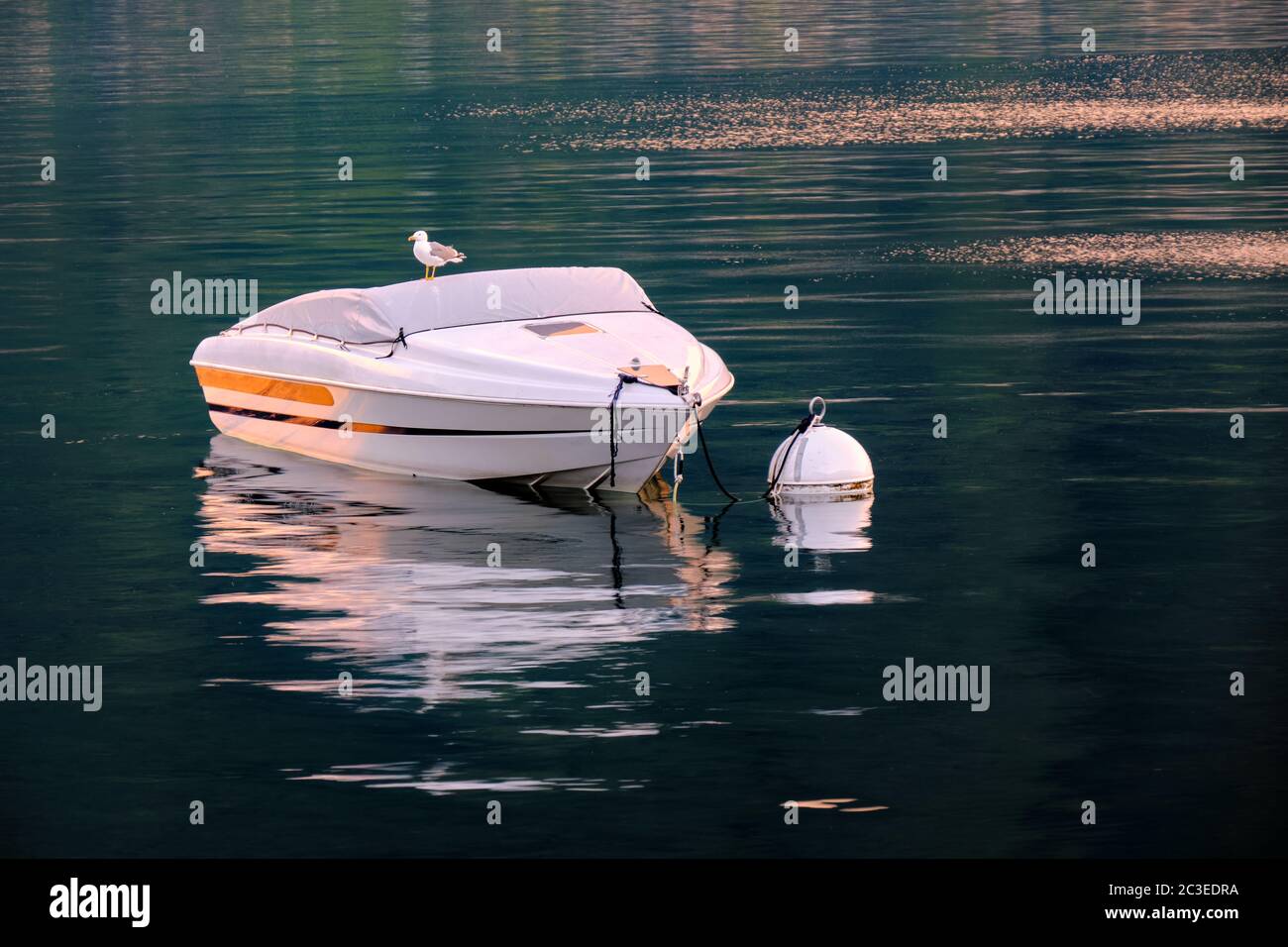 Fish fishing boat seagull seagulls hi-res stock photography and images ...