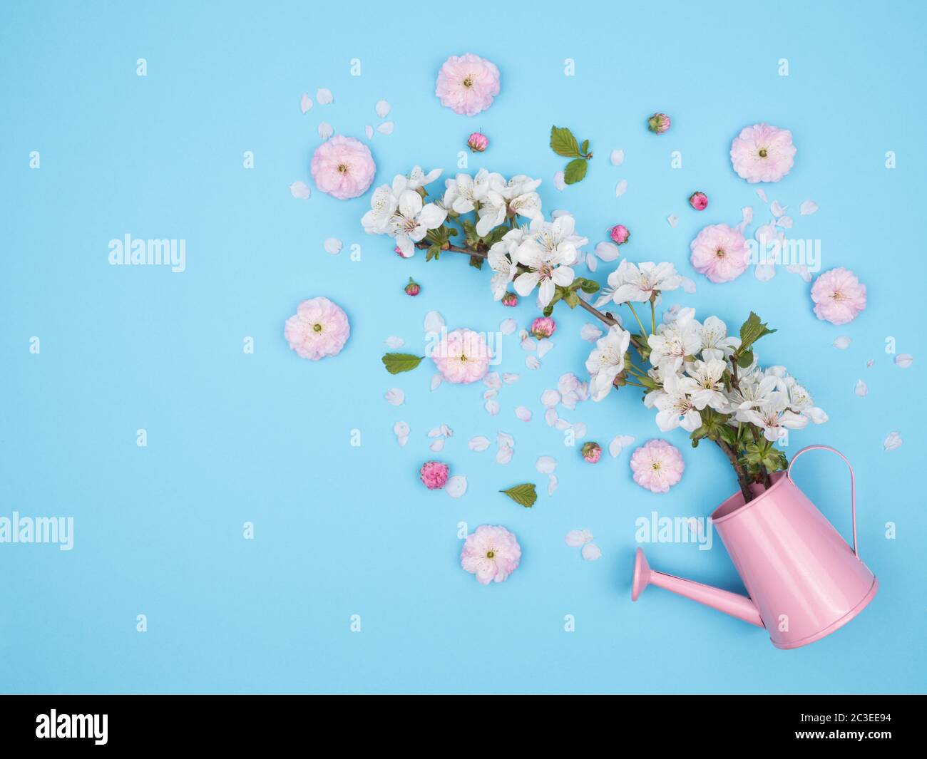Watering can top view hi-res stock photography and images - Alamy